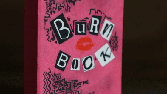 What Is A Burn Book? The Social Dynamics Of Burn Books - Legal Inquirer