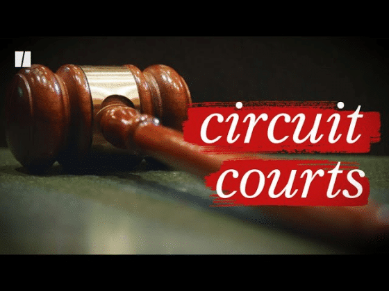 What Is A Circuit Court? What Are The Functions Of A Circuit Court ...
