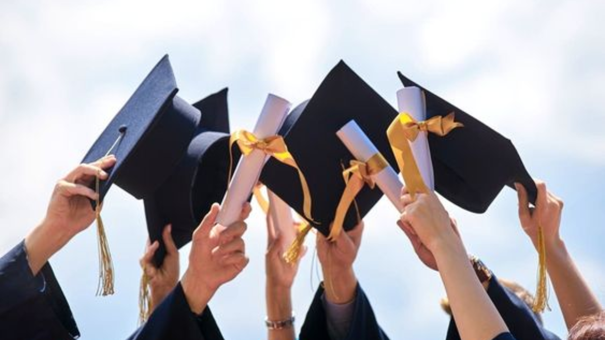 Getting an LLB degree: Building a foundation for legal brilliance Legal ...